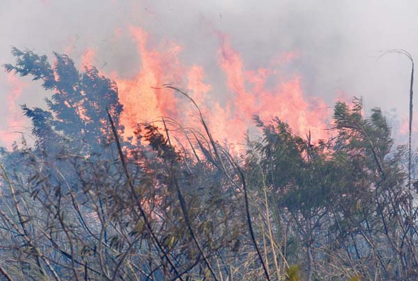 Brush fire rages, burns 1,900 acres | News, Sports, Jobs - Maui News